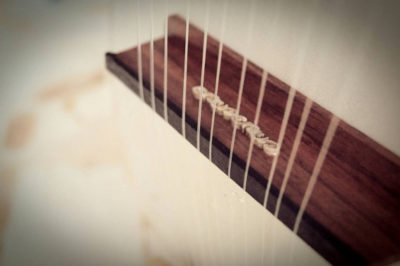 Gut Strings Set — LUTHIEROS