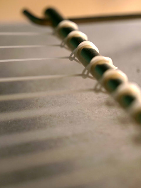 Sugar Strings (set) — LUTHIEROS