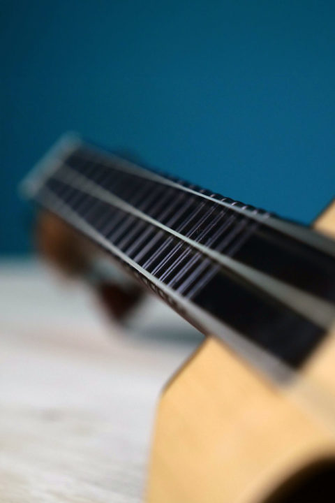 Pandura - Ancient Greek Instrument With Fretboard — LUTHIEROS